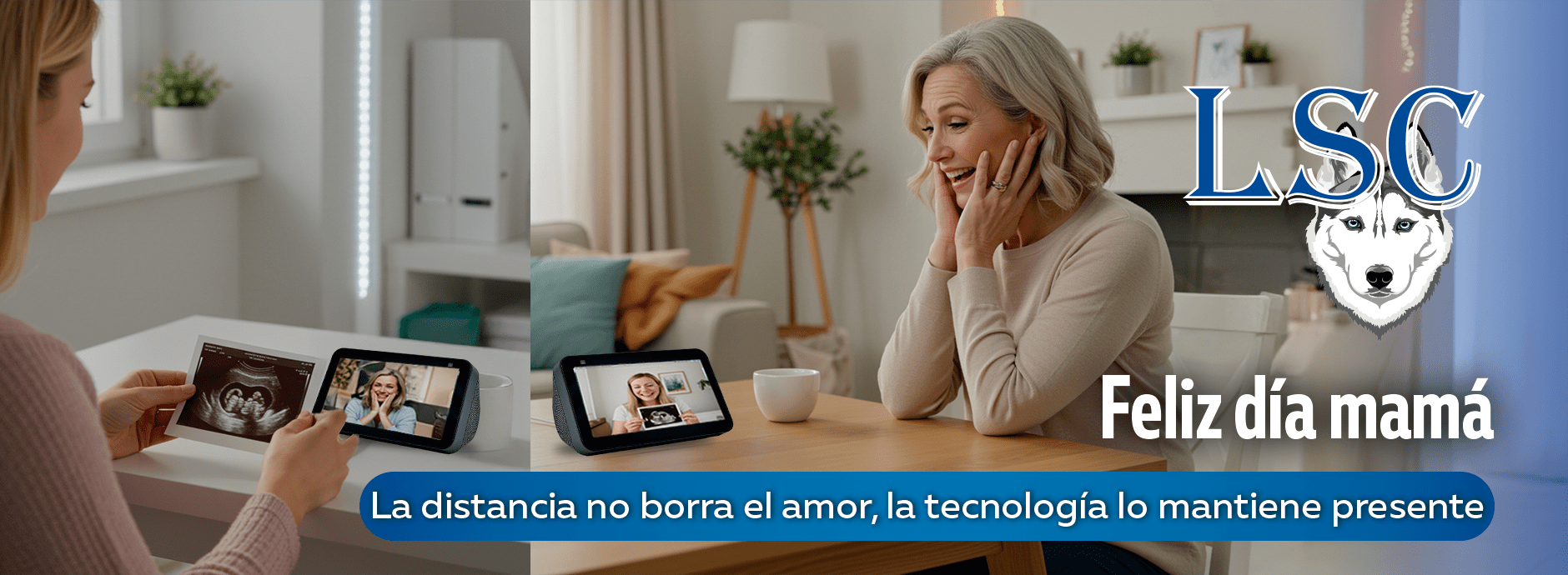 LSC – Simple y Sencillo