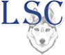 LSC COMPANY – LSC COMPANY